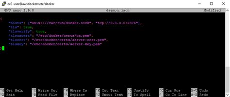 how to run docker daemon on ubuntu about dock photos mtgimage