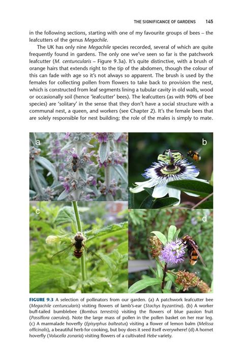 Pollinators And Pollination Veldshop Nl