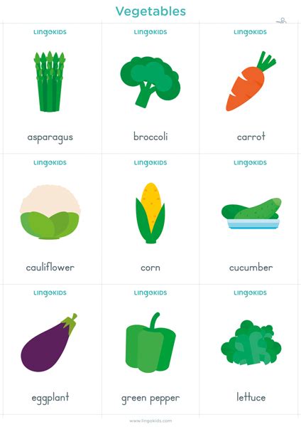 Sápadt Aktatáska áramkör Todas Las Frutas Y Verduras En Ingles