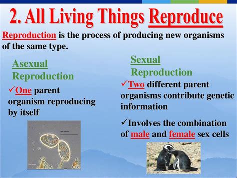 Characteristics Of Life Ppt Download