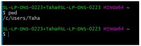 git push command explained with demo [updated]