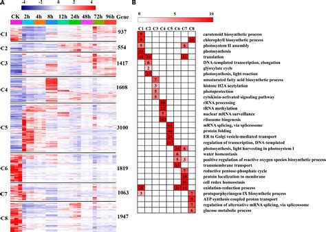 Frontiers Comprehensive Time Course Transcriptome And Co Expression