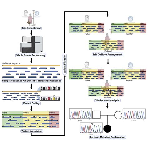 Analysis Workflow To Assess De Novo Genetic Variants From Human Whole