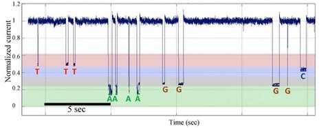 Nanopore Array Advances Single Molecule Electronic Dna Sequencing