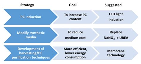 Biology Free Full Text Microalgae Based Biorefineries Challenges