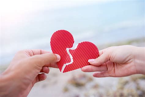 How To Fix A Broken Relationship Even If Its Badly Fractured Elizegan