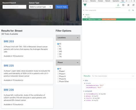 vue js filter array based on multiple options vue javascript
