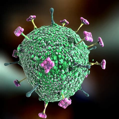 Nipah Virus 3d Model