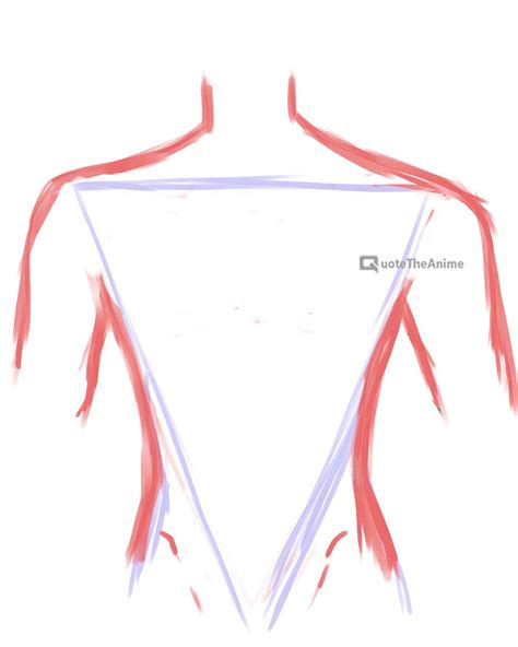 How To Draw An Anime Male Body
