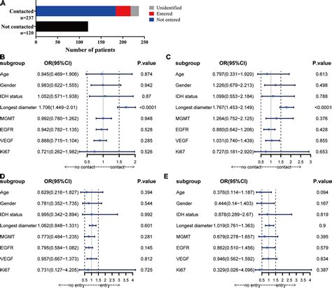 frontiers the ependymal region prevents glioblastoma from penetrating