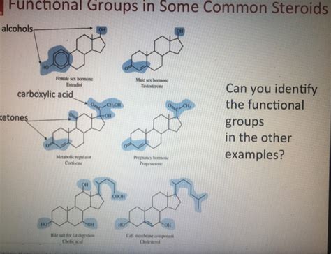 Solved Functional Groups In Some Common Steroids Alcohols