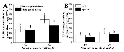 Ijerph Free Full Text Sex Specific Differences In The Toxic Effects