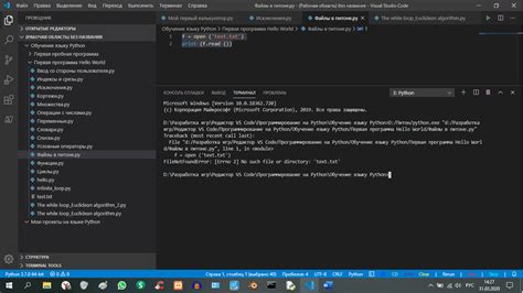 problems with the terminal in vs code when programming in python