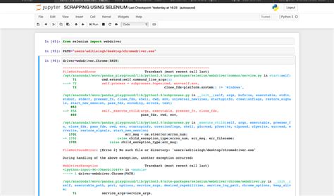 python getting error chromedriver exe executable needs to be in