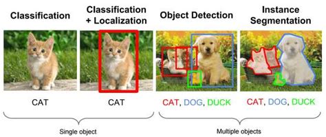 localization and object detection with deep learning ai summer images