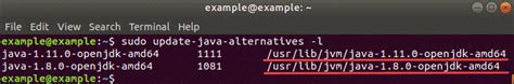 install tomcat on ubuntu {step by step tutorial} phoenixnap kb