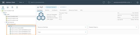 tanzu kubernetes grid cluster vs vsphere native pods vraccoon