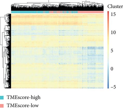 The Analysis Results Of Mirna And Mrna A Functional Annotation Of