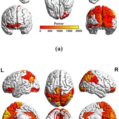 Network Distribution Of Brain Power With A Nonparametric Estimate P