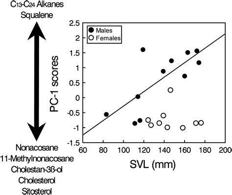 Intersexual And Body Size Related Variation In Chemical Constituents