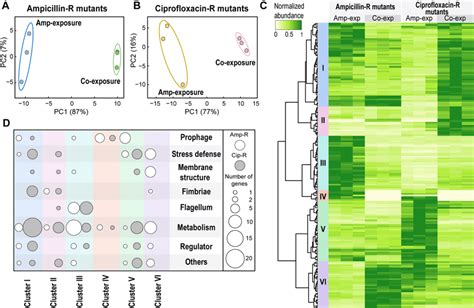 Differential Gene Expression Analysis Results Including Principle