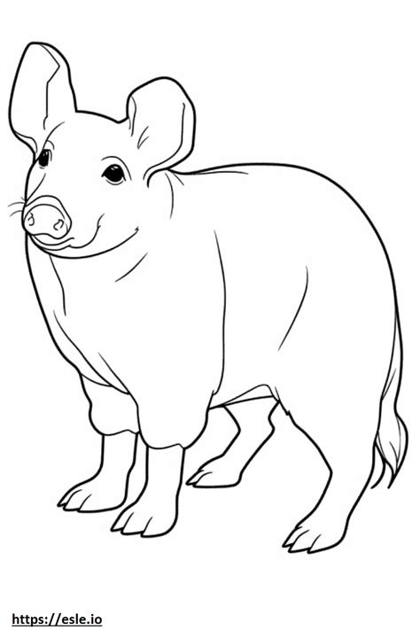 Dorgi Full Body Coloring Page
