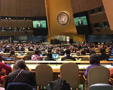 A User Guide For Land Defenders The Un Committee On The Elimination Of