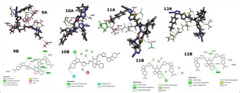 Three Dimensional View Of Compounds 7a 8b From 9a 12a Into The Binding