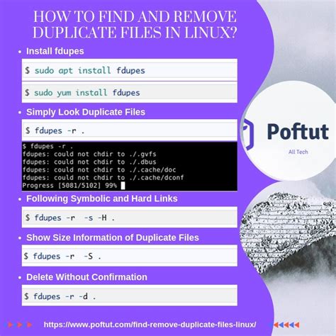 how to find and remove duplicate files in linux infographic