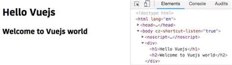 intro to methods and data properties in vuejs reactgo