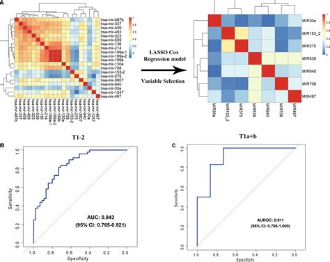 Identification And External Validation Of A Novel Mirna Signature For