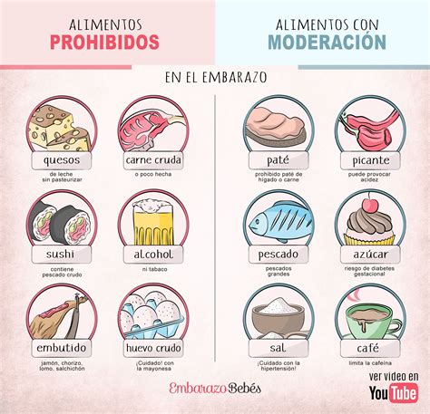 Estos Son Los Alimentos Prohibidos Durante El Embarazo My Xxx Hot Girl