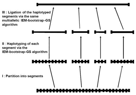 a schematic representation of the algorithm i partition strategy of
