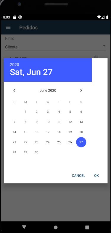 datepicker exceeds the size calendar · issue 62 · nativescript