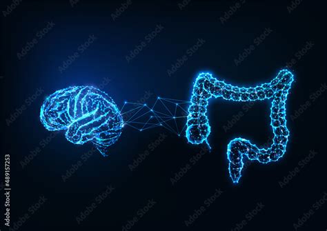 Futuristic Gut Brain Connection Concept With Glowing Low Polygonal