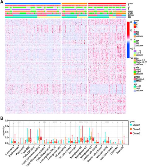 Frontiers Identification Of Novel Lactate Metabolism Signatures And