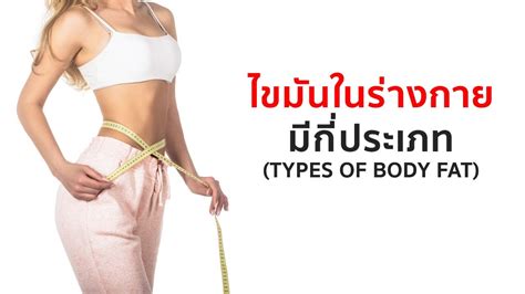 ไขมันในร่างกายผู้หญิง มีกี่ประเภท เปอร์เซ็นต์ ไขมัน ใน ร่างกาย