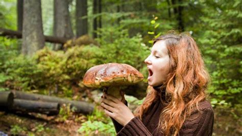 Ukraine Is Wild About Mushrooms — Even During The Pandemic The World