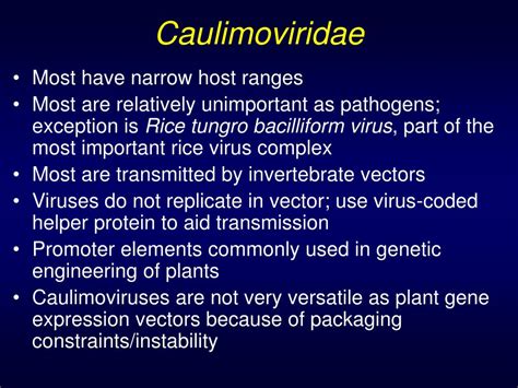 Ppt Reverse Transcribing Viruses Other Than Retroviruses Powerpoint