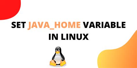 checking if an environment variable is set in bash a comprehensive guide