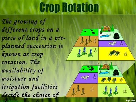 Cropping Pattern