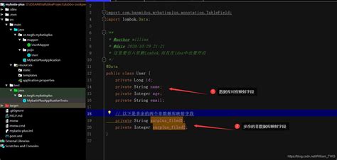 如何解决mybatis plus实体类中出现非数据库映射字段的问题 开发技术 亿速云