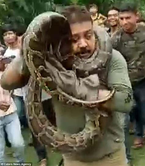 python tries to kill indian forest officer as he poses for photo with