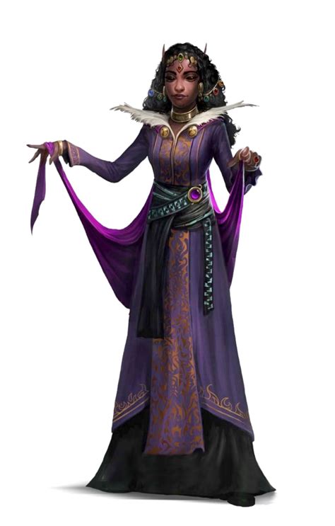 Female Elf Bard Sorcerer Aristocrat Pathfinder 2e Pfrpg Dnd Dandd 3 5