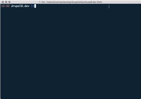 install drupal console globally