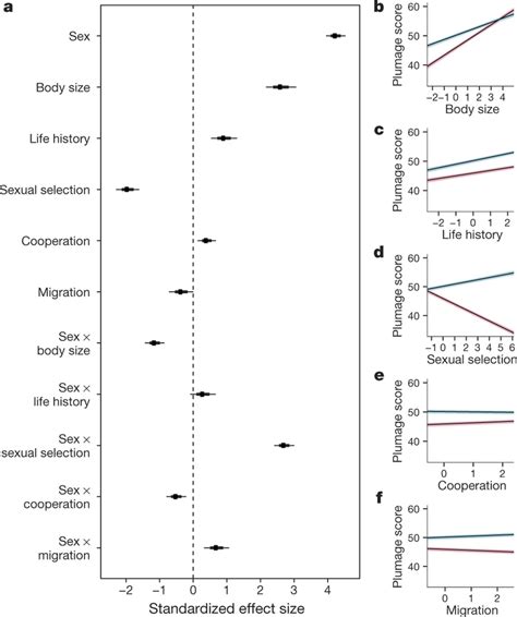 coefficient estimates and model lines of linear mixed models predicting