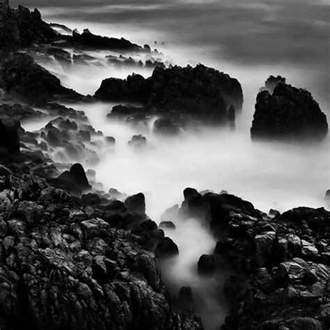 beautiful black and white nature photography web design