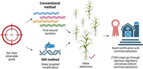 Full Article The Impact Of ‘framing In The Adoption Of Gm Crops