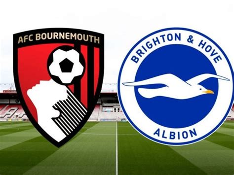 Premier League 2018 19 Bournemouth Vs Brighton Preview The Stats Zone