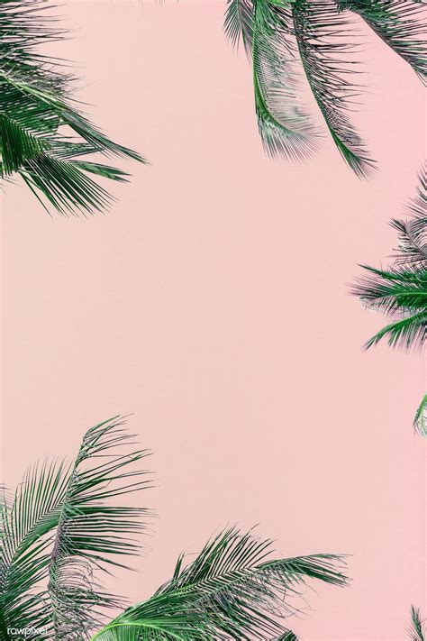 25 Incomparable Pink Aesthetic Wallpaper Palm Tree You Can Get It At No